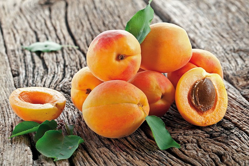 Steinobst: Kirsche, Marille, Pfirsich und Co